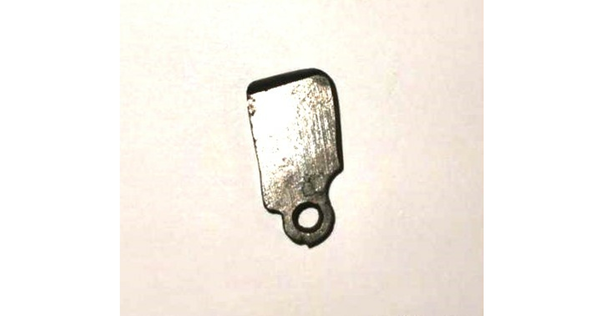 Chien RUBY d'époque - Un morceau d'histoire et de rareté à posséder